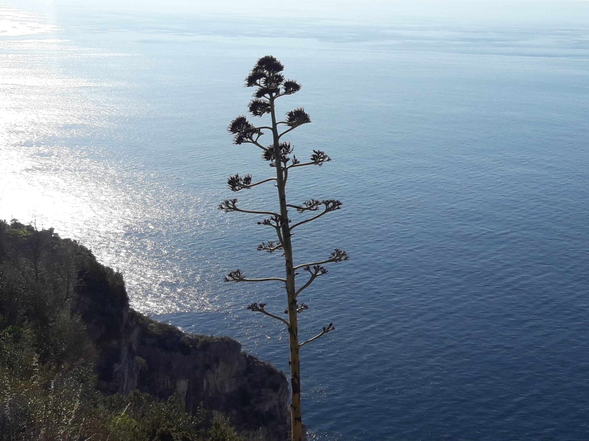 Is this love or just infatuation? | writing for self-discovery