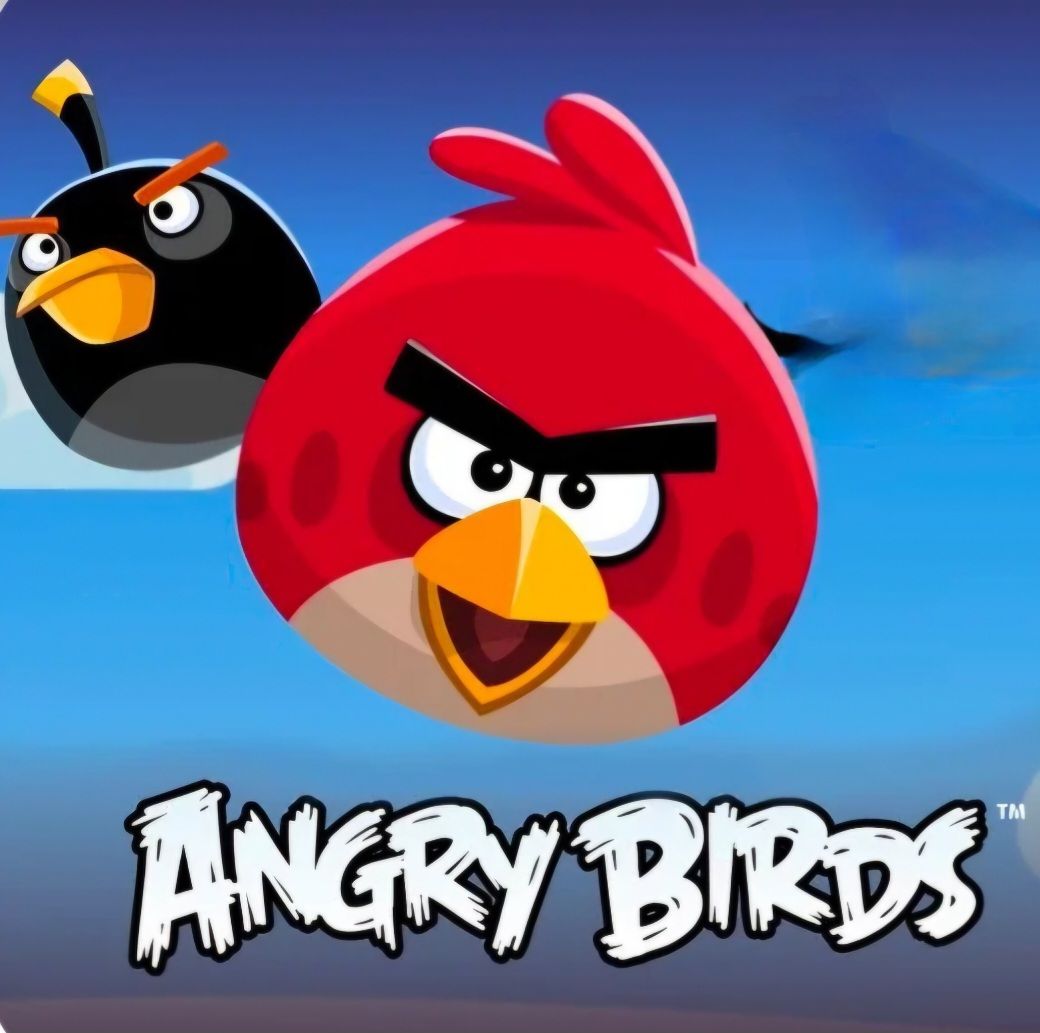 The Politics of Bluey and Bingo vs. Angry Birds | writing for self ...